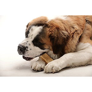 Himal Dog Treat , 100% Natural Yak Chew (Extra Large 5.5-6.5 oz) for Dog Under 70 Lb