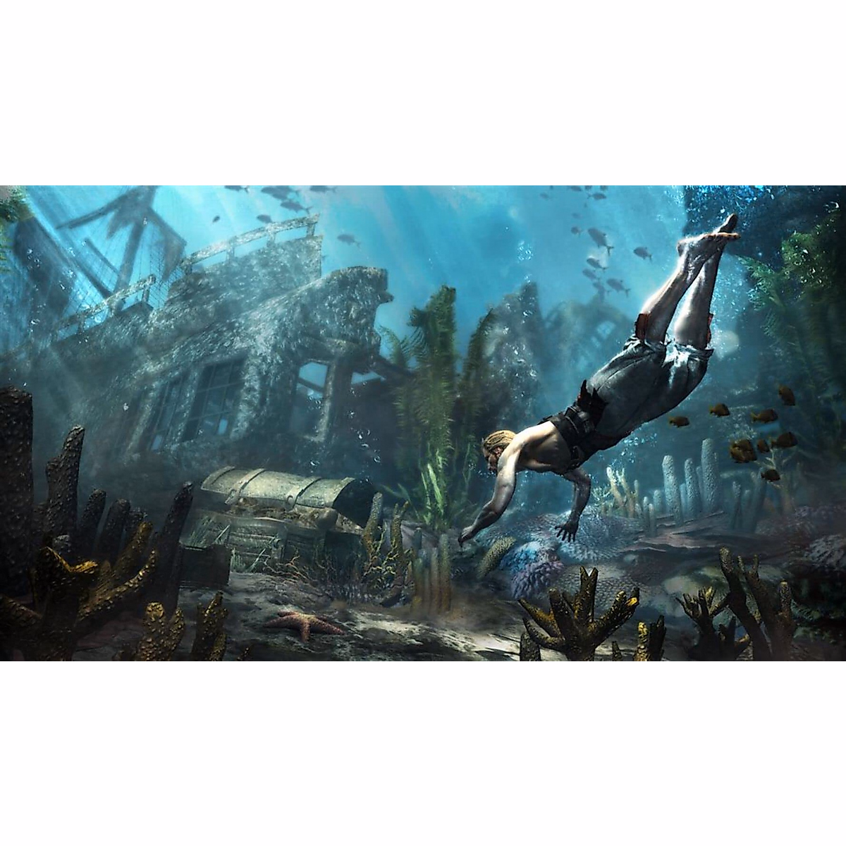 Assassin's Creed 4 Black Flag Essentials (PS3)