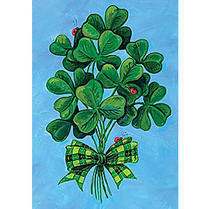 Toland Home Garden 112589 Shamrock Bouquet St Patricks Day Flag 12x18 Inch Double Sided St Patricks Day Garden Flag for Outdoor House St Pats Flag Yard Decoration