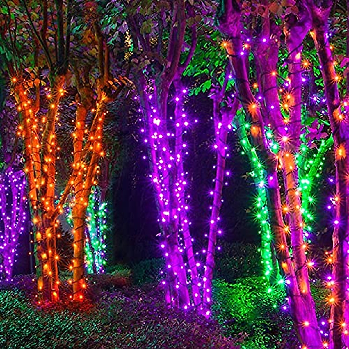 Dazzle Bright 2 Pack 200 LED 66 FT Halloween Solar String Outdoor Lights, Solar Powered with 8 Modes Waterproof Christmas Lights for Bedroom Patio Garden Tree Party Yard Decoration (Purple)
