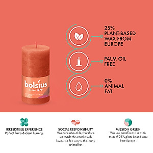 BOLSIUS 4 Pack Orange Rustic Pillar Candles - 2.75 X 5 Inches - Premium European Quality - Includes Natural Plant-Based Wax - Unscented Dripless Smokeless 60 Hour Party Décor and Wedding Candles