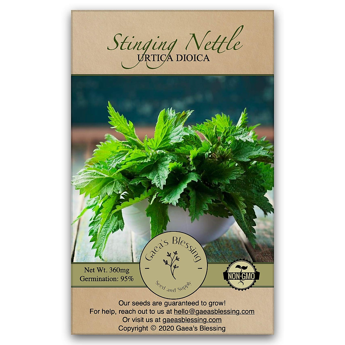 Gaea's Blessing Seeds - Stinging Nettle Seeds - Non-GMO Seeds with Easy to Follow Instructions - Open-Pollinated Heirloom 95% Germination