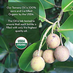 Pure Body Naturals Cold Pressed Tamanu Oil, 4 Fl Oz - Calms Irritated Skin - Moisturises Dry Scaly Skin
