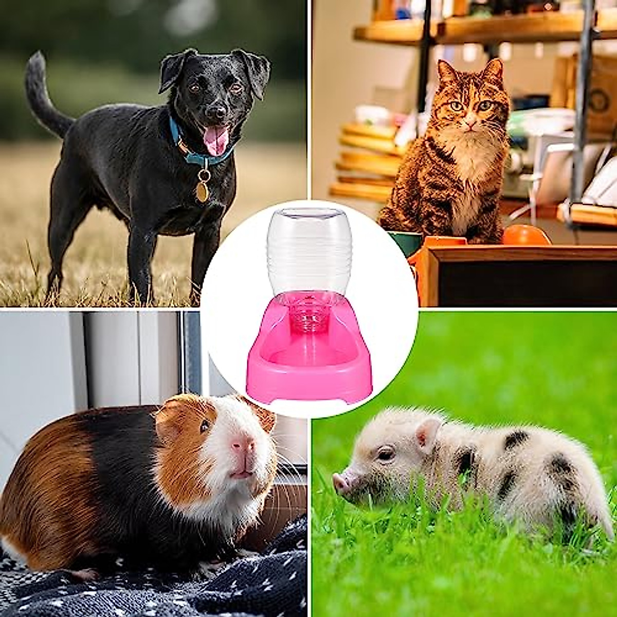 Mipcase Puppy Supplies Dog Water Feeder, Dog Water Dispenser Large, Automatic Pet Food Water Dispenser Plastic Food Feeding Bowls for Dogs Cats () Auto Feeder