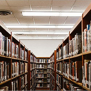 (Pack of 4) LED Shop Light 4FT, 40W 4500LM 5000K Daylight White, Linkable LED Light Bar for Room, Garage, Corded Electric with Built-in ON/Off Switch, Frosted Cover