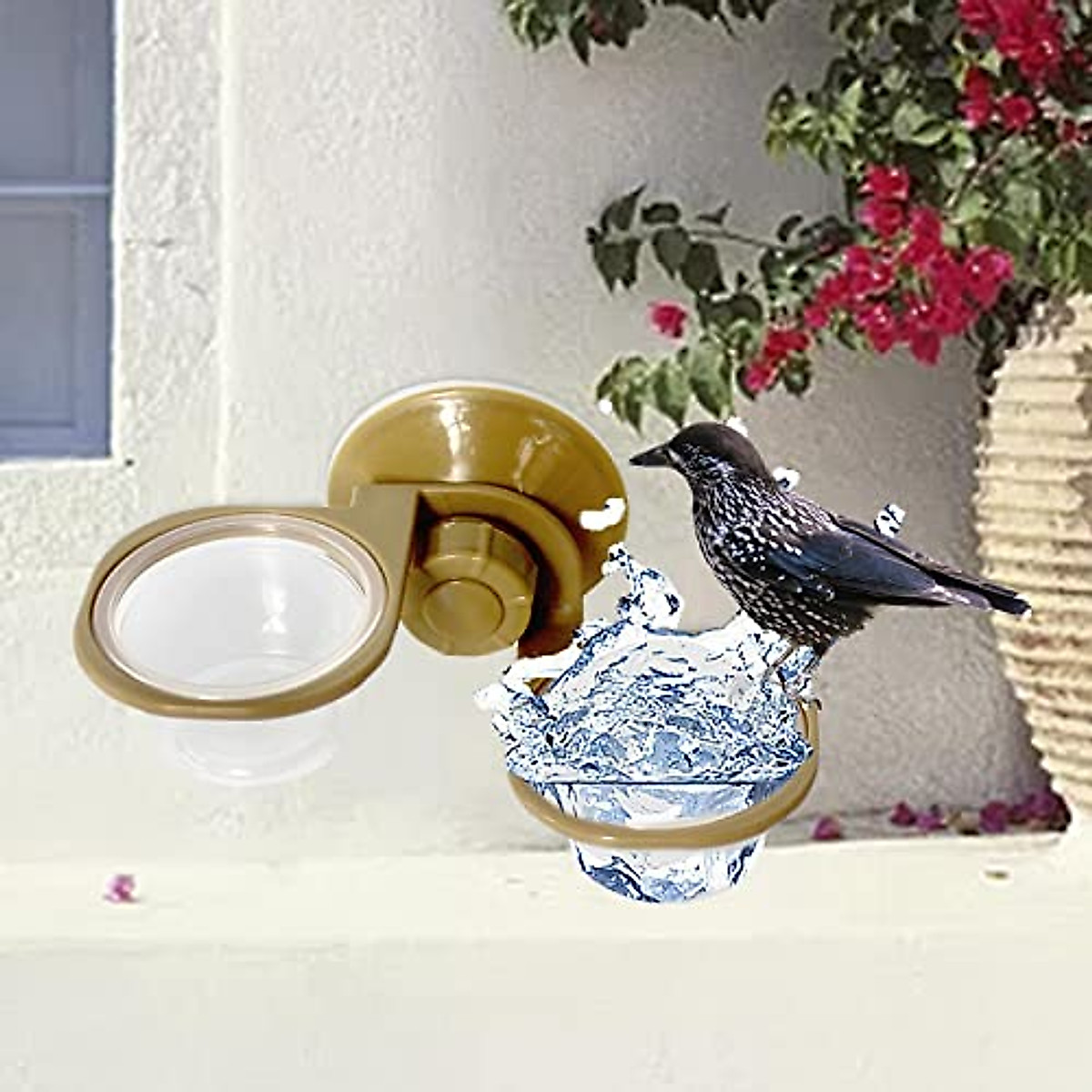 Amphibian Reptile Food Bowl Pets Suction Cup Worm Terrarium Water Dish Mealworms Bowls Feeders for Bearded Gecko