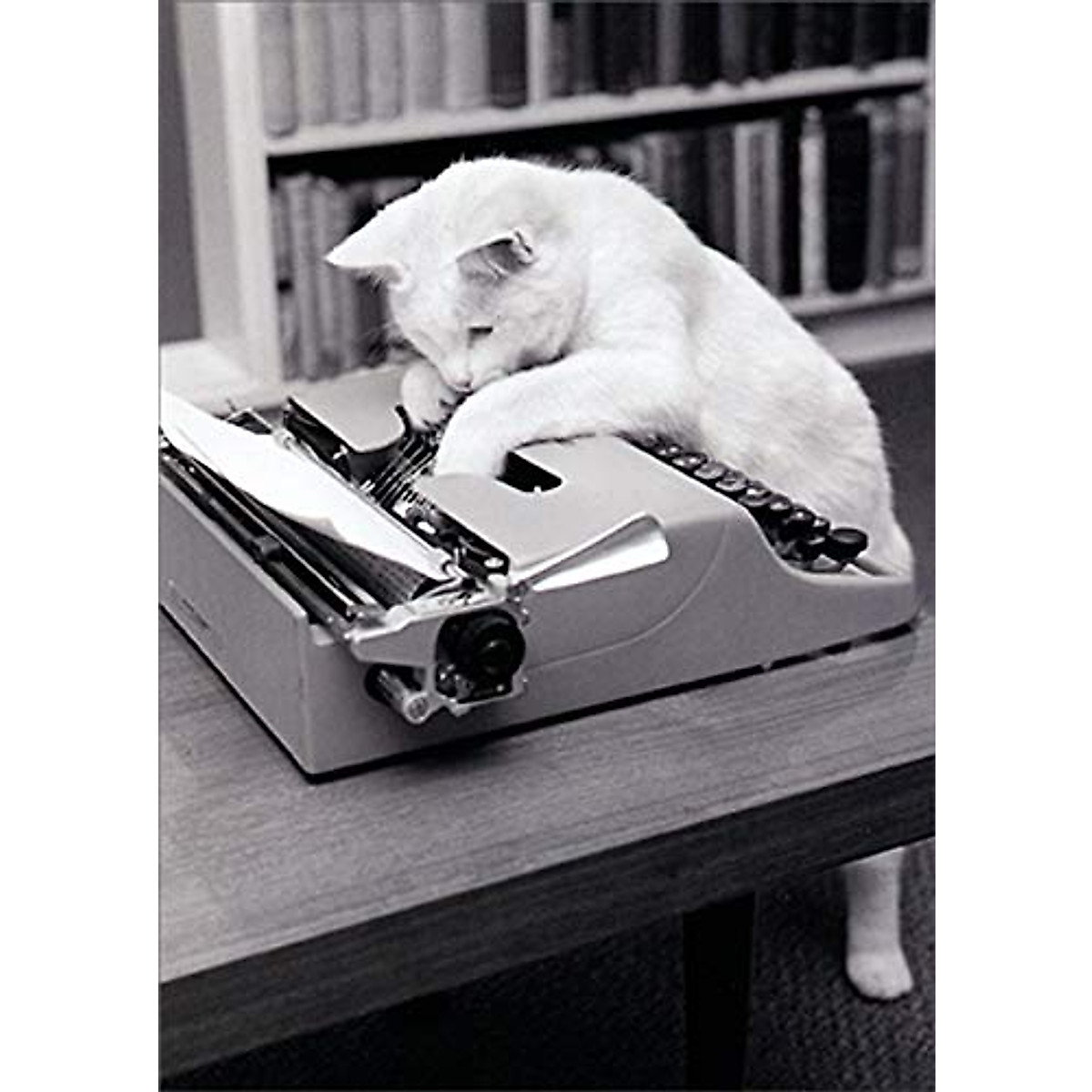 Avanti Press Typewriter Cat Humorous : Funny Birthday Card