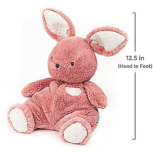 GUND Baby Oh So Snuggly Bunny Stuffed Animal, Bunny Toddler Toy, Dusty Rose Pink, 12.5"