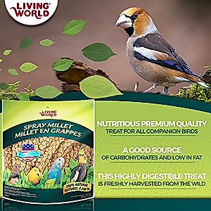 Living World Spray Millet, 17.6 Oz