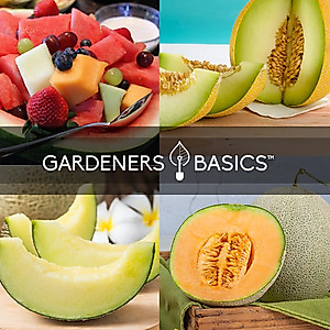 Melon Fruit Seeds For Planting Home Garden 5 Variety Packs - Hales Best Cantaloupe, Crimson Sweet Watermelon, Yellow Canary Melon, Green Flesh Honeydew Melon, Sugar Baby Watermelon by Gardeners Basics