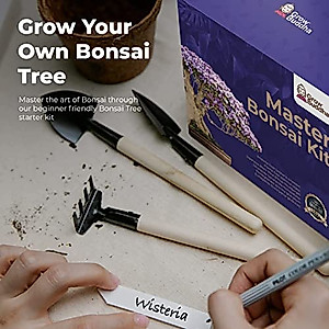 Master Bonsai Kit - Bonsai Plant Growing Kit - Professional Growing and Styling Bonsai Set - Japanese Bonsai - Become Bonsai Master - Ideal Bonsai Tree Seed Kit for Indoor Garden Gardening