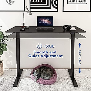 FLEXISPOT Adjustable Height Desk 40 x 24 Inches Small Standing Desk for Small Space Electric Sit Stand Home Office Table Computer Workstation (Black Frame + Black Desktop)