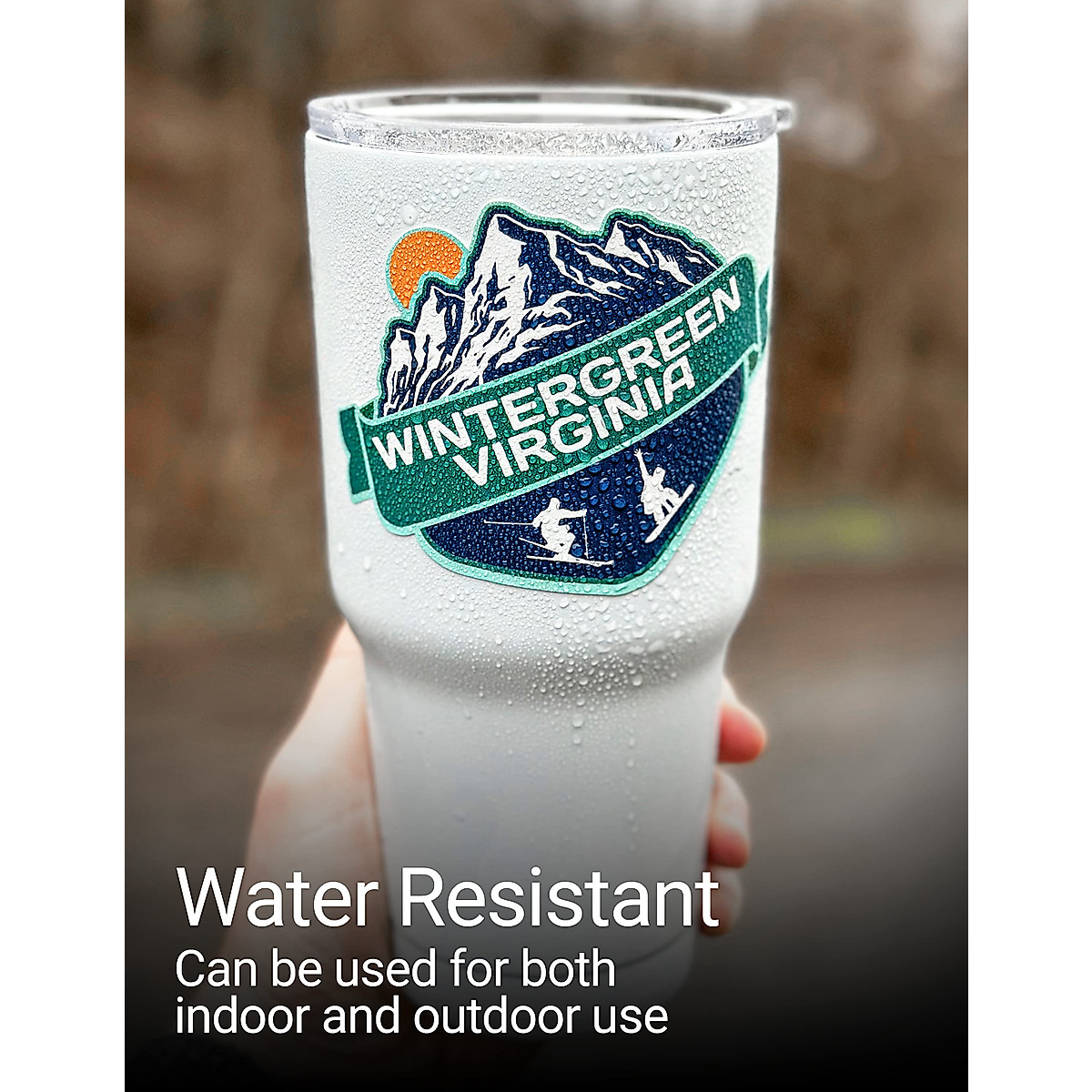 Crested Butte Mountain Colorado Ski Adventures Souvenir 2 Inch Vinyl Decal Sticker Goggle Design