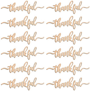 PARBEE 12PCS Thanksgiving Place Cards Thankful Wood Signs Fall Dining Table Plate Ornament Farmhouse Home Table Setting Decor - Thankful