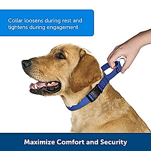 PetSafe Martingale Collar with Quick Snap Buckle, 1" Large, Red