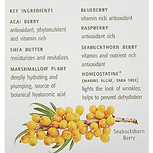 Eminence Organic Skincare Firm Skin Acai Moisturizer with Hyaluronic Acid, 2 Fluid Ounce (2254/Em)