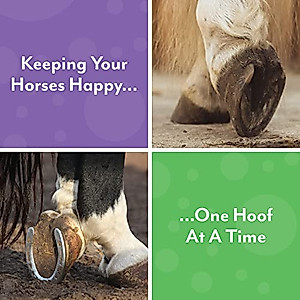 Handson Hoof Pick - Horse Grooming Supplies for Daily Cleaning & Maintenance - Metal Pick w/Hoof Filer for Horses - Ergonomic Grip