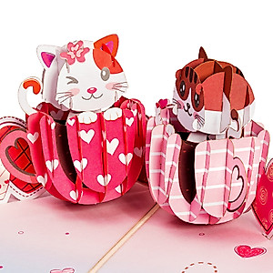 Paper Love 3D Love Cat Mug Pop Up Card - 5" x 7" Cover - Includes Envelope and Note Card