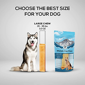 MAKALU DOG CHEW Large, Odor-Free Bully Sticks (51 Ibs and under) Milk Chews for Pups, Healthy Single Ingredient Chew Treat for Aggressive Chewers, High Protein Best Dental Dog Treats (6 Inch, 1 Pack)