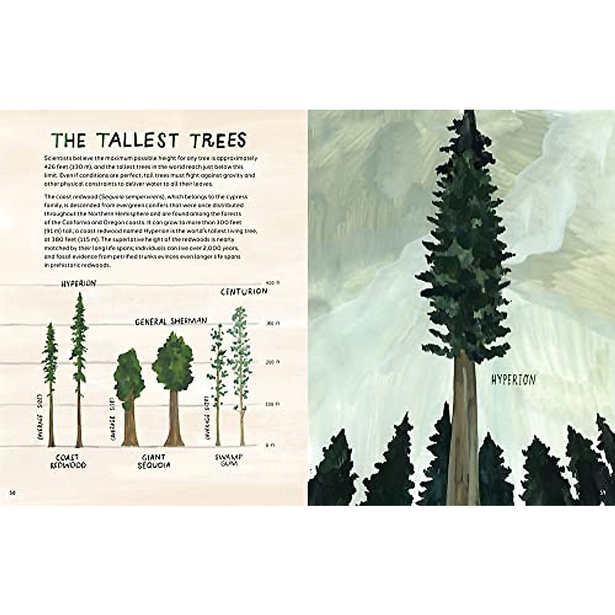 Trees: An Illustrated Celebration