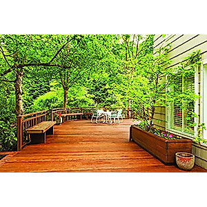 Storm System Protector - Cedartone, 1 Gallon, Protects Outdoor Wood from Water & UV Rays, Siding, Fence & Deck Stain and Sealer, Outdoor Wood Stain and Sealer