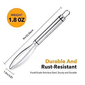 Haikole fish scaler Stainless Steel Fish Scaler Remover,Portable 304 Stainless Steel Fish Scaler Remover,Sawtooth Fish Descaler Tool for Seafood Markets,Family Kitchen seafood tools (Stainless Steel)