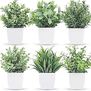 Der Rose 6 Packs Small Fake Plants Artificial Plants in Pots for Home Bathroom Bedroom Living Room Decor Indoor