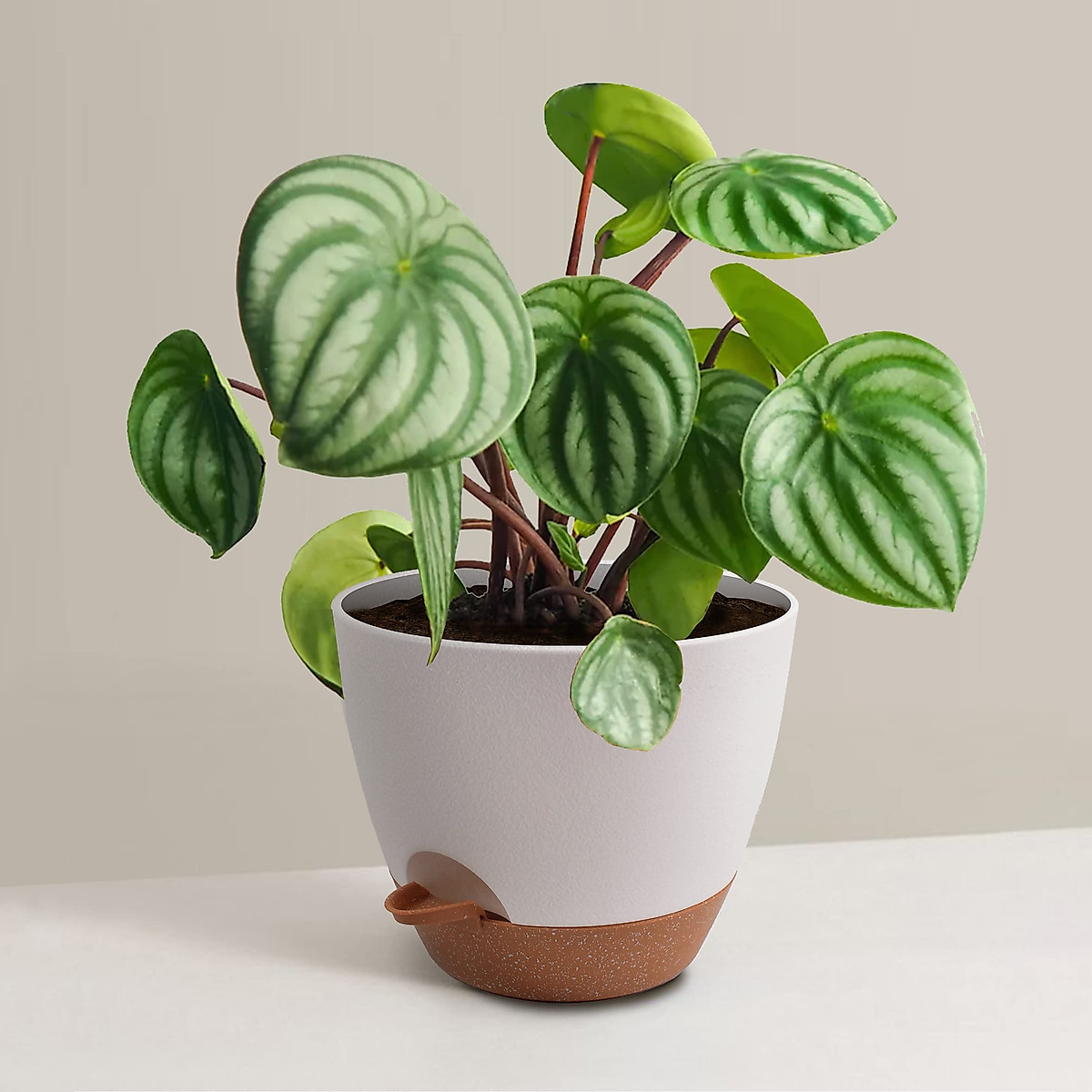 Giraffe Creation 9 inch Plant Pots 2-Pack, Self Watering Flower Pots Indoor Outdoor, Planters with Drainage Hole Saucer Reservoir, White Brown