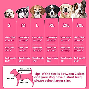 Fragralley Dog Winter Coat Jacket - Reflective Adjustable Windproof Dog Turtleneck Clothes, Doggie Cold Weather Vest, Warm Fleece Lining Puppy Snow Coat for Small Medium Large Dogs (Large, Pink)
