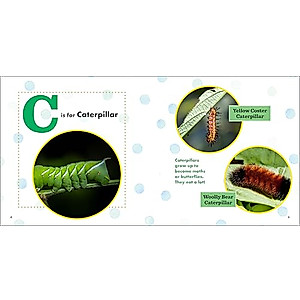 ABC Bug Book for Kids