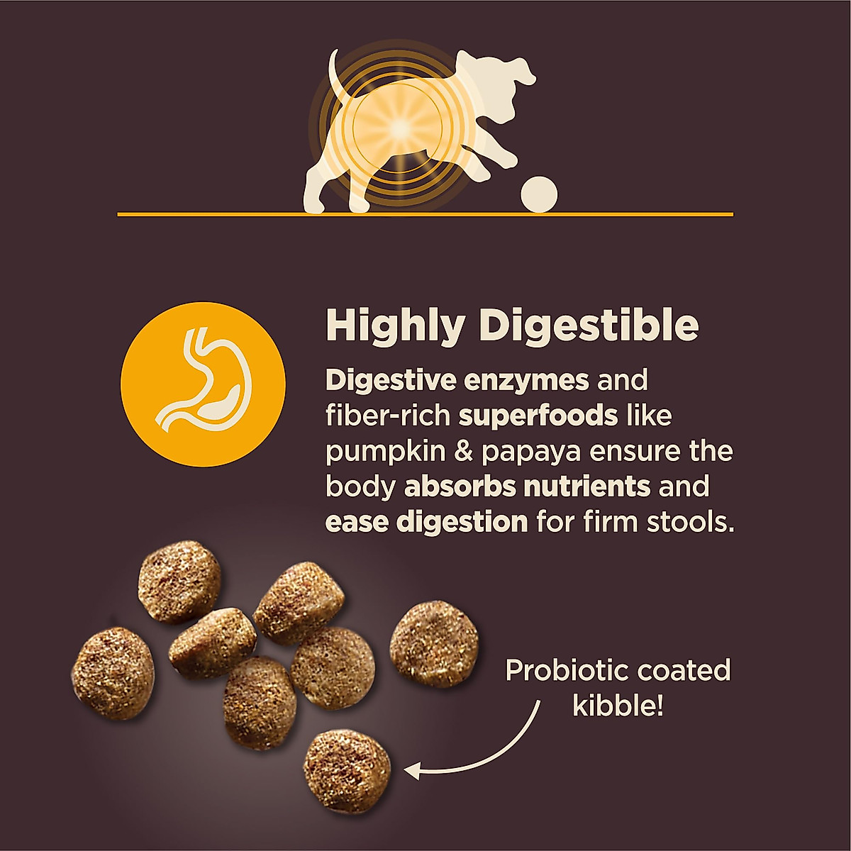 Wellness CORE Digestive Health Dry Puppy Food with Wholesome Grains, Highly Digestible, for Dogs with Sensitive Stomachs, Made in USA with Real Chicken (Puppy Under 1 Year, 4-Pound Bag)