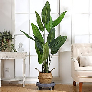 2 Packs Plant Caddy with Wheels 15 -19 Adjustable Heavy Duty Rolling Plant Stand with Casters Outdoor Indoor Planter Dolly 440 Lbs Capacity for Large Plant Pot, Trash Can Dolly, Garden Pot (Gray)