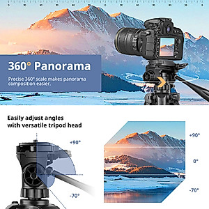 Sensyne 74" Camera Tripod, Heavy Duty Tripod for Camera with Wireless Remote and Travel Bag, Compatible with DSLR Camera, Cellphone, Projector, Webcam, Ring Light, Spotting Scopes