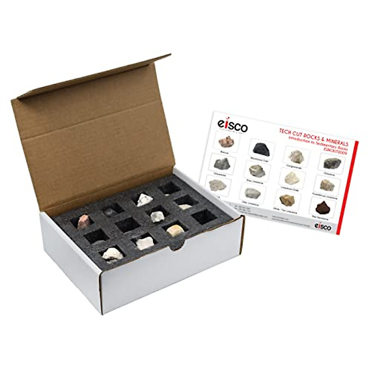 12 Piece Introduction to Sedimentary Rocks Kit - Includes 1" Specimens - Great for Geology Classrooms & Basic Field Testing Labs - Tech Cut Rocks by Eisco Labs