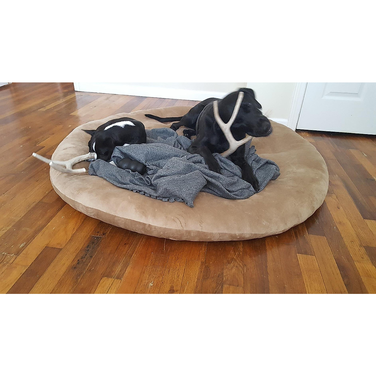 Big Dog Antler Chews - Deer Antler Dog Chew, Medium, 9 Inches to 13 Inches Long. Perfect for Your Medium to Large Size Dogs and Puppies! Grade A Premium. Happy Dog Guarantee!