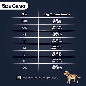 LufeLux Dog Knee Brace with Harness and Connection Belt, Lightweight and Stretchable, Support for Torn ACL Hind Leg, Luxating Patella, Reduces Arthritis Pain and Inflammation (X-Small)