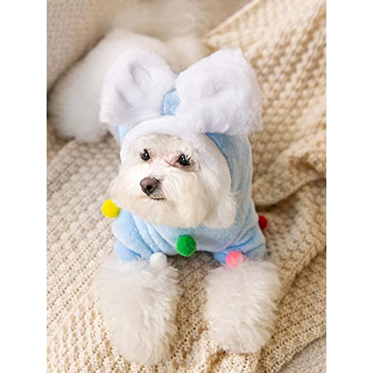 QWINEE Bow Decor Dog Plush Hoodie Polka Dot Cute Cat Puppy Costume Small Medium Dog Warm Coat Kitten Hooded Sweatshirt Blue S