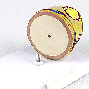 DABAUR Organ Model Skin Hair Follicle Hair Acne Pustule Blackhead Anatomical Model for Study Display Teaching Anatomical Model