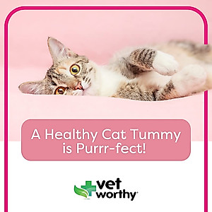 Vet Worthy Anti-Diarrhea for Cats - Cat Supplement to Help Relieve Diarrhea, Stomach Upset, and Discomfort - Pet Digestive Health Support with Kaolin and Pectin - 4oz
