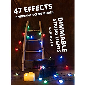 Outdoor String Lights 49ft, Led Lights, Patio Lights, Remote and App, String Lights for Outside, Deck Decorations, Outdoor Lights Lighting & Ceiling Fans House Decor Garden Lights Backyard Lights