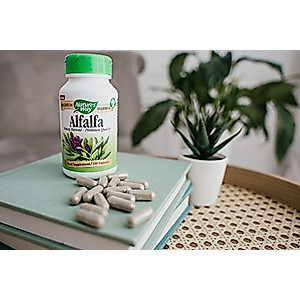 Nature's Way Alfalfa Leaves -- 100 Capsules