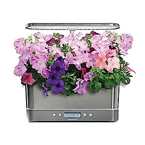 AeroGarden Cascading Petunias Seed Pod Kit for AeroGarden Hydroponic Indoor Garden, 6-Pod