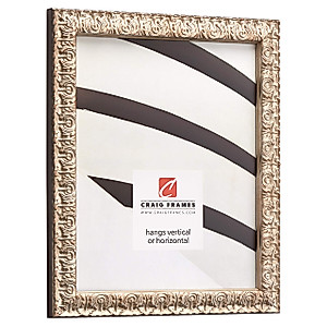 Craig Frames Versailles Picture Frame, 16 x 20 Inch, Silver