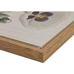 Martha Stewart Herbal Botany Wall Art Living Room Decor - Floral Linen Canvas, Farmhouse Lifestyle Bathroom Decoration, Ready to Hang Painting for Bedroom, 17.84"W x 21.84"L x 1.45"H, Green 4 Piece