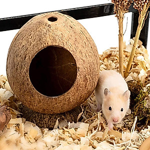 JIANGSHUANG Hamster Natural Coconut Shell hut Gerbil Small Animal Habitat Decoration Hamster Hiding House pet cave nest