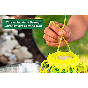 RESCUE! TrapStik for Wasps, Mud Daubers, Carpenter Bees - 2 Pack