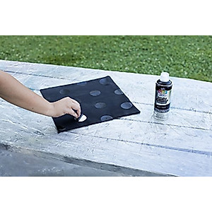 Tulip ColorShot Instant Fabric Color Interior Upholstery Spray 8 oz - Black