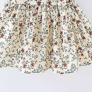 Colorful Childhood Baby Girls Dress Toddler Girls Flare Lace Trim Princess Party Dress (2-3T, Floral)