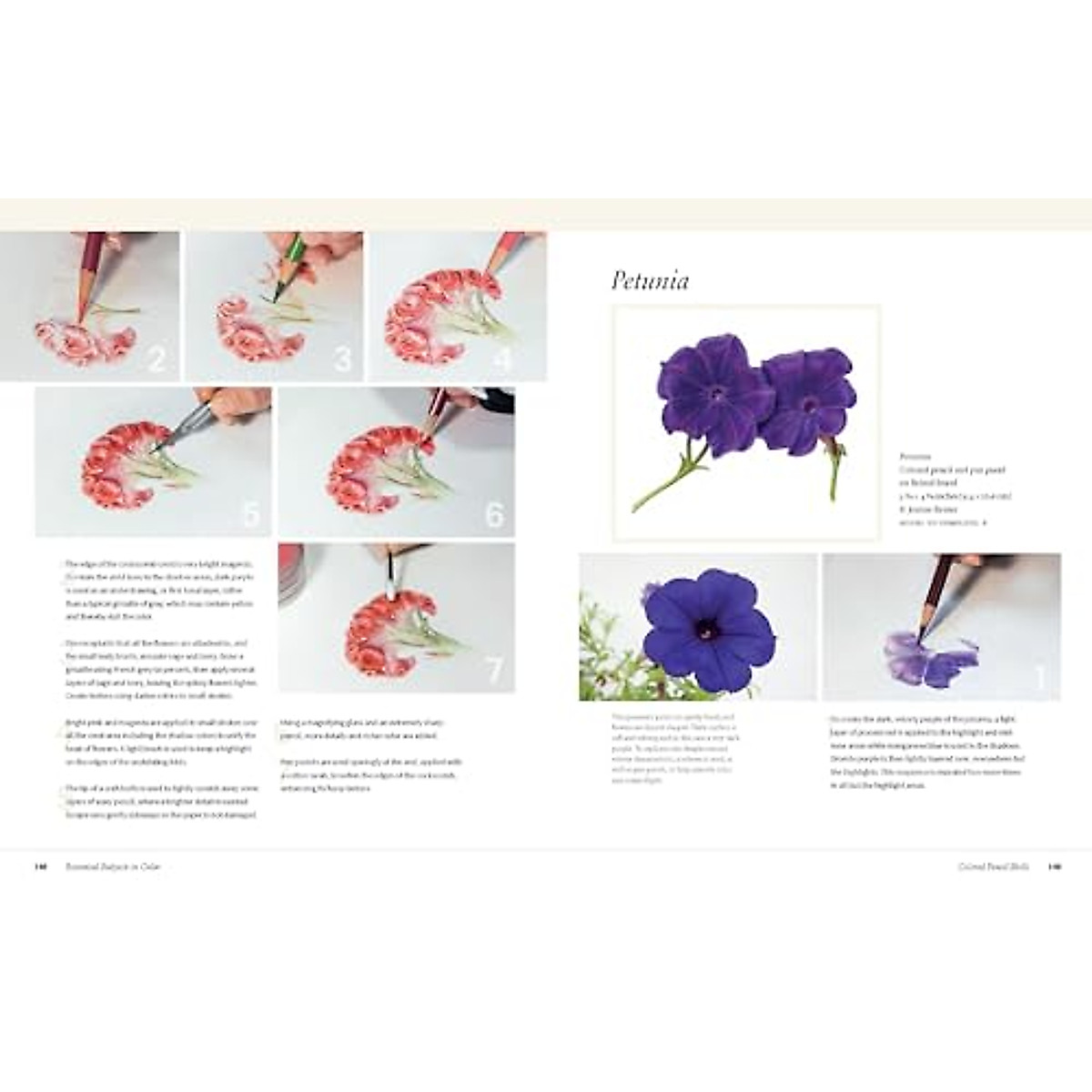 Botanical Art Techniques: A Comprehensive Guide to Watercolor, Graphite, Colored Pencil, Vellum, Pen and Ink, Egg Tempera, Oils, Printmaking, and More