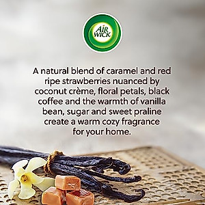 Air Wick Scented Oil - Vibrant Refill Vanilla & Warm Caramel, 5 Refills